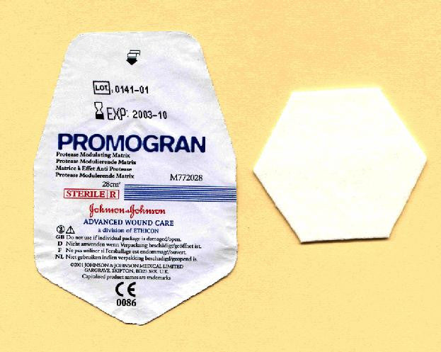 Bx/10 Promogranâ® Protease Modulating Matrix 28Cm2